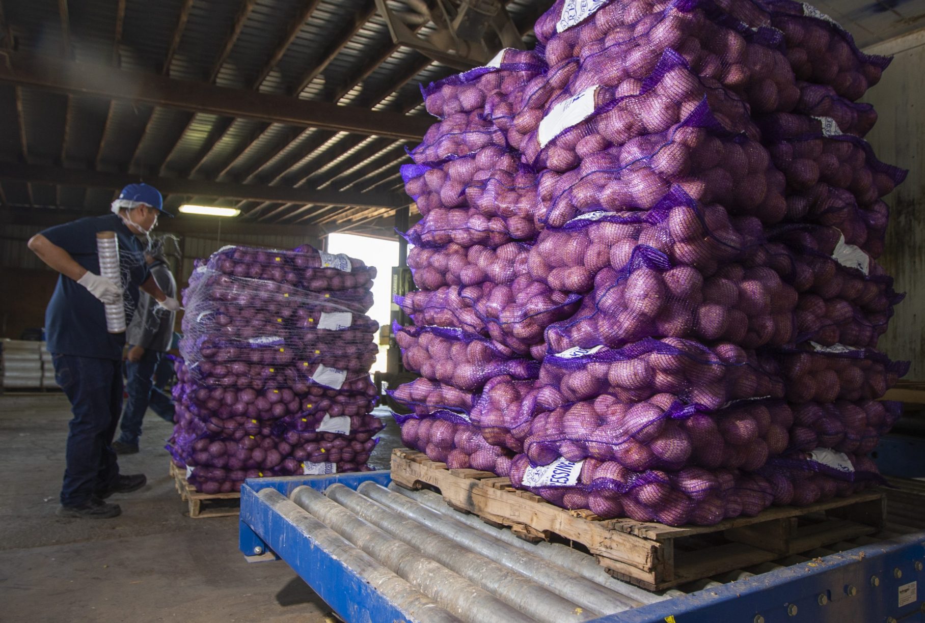 Media – Chipperbec Potatoes