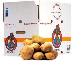 For Distributors and Wholesalers - Chipperbec Potatoes