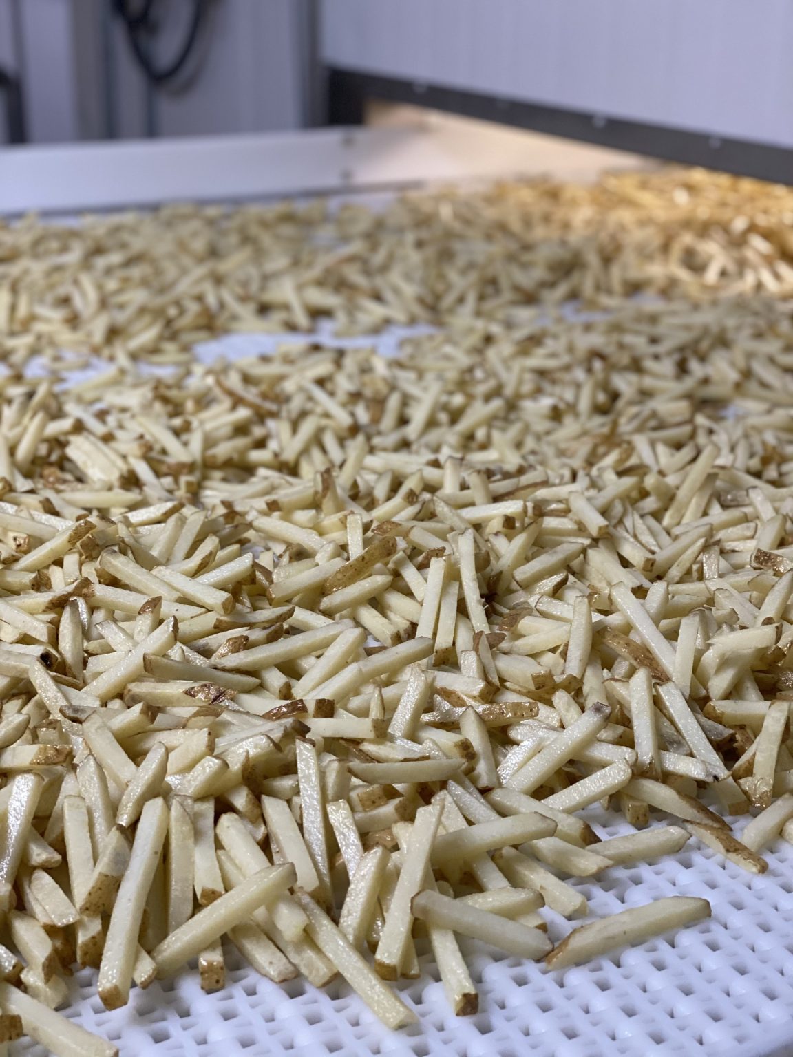 CHIPPERBEC Frozen Fry Q & A Part 2 of 5 - Chipperbec Potatoes